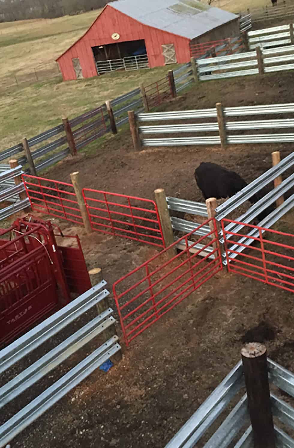 Guardrail Corral: Top Livestock Fencing Solutions | W-Beam, Thrie-Beam ...