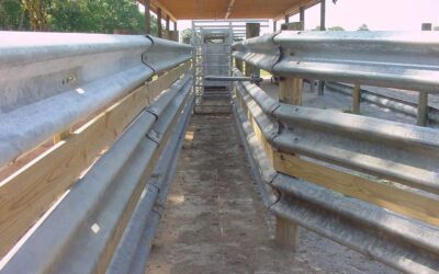 Blog - Guardrail Corral