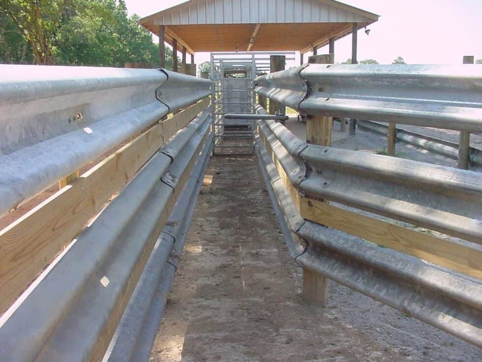 Repurposing Used Guardrails: The Ingenious Use in Cattle Chutes